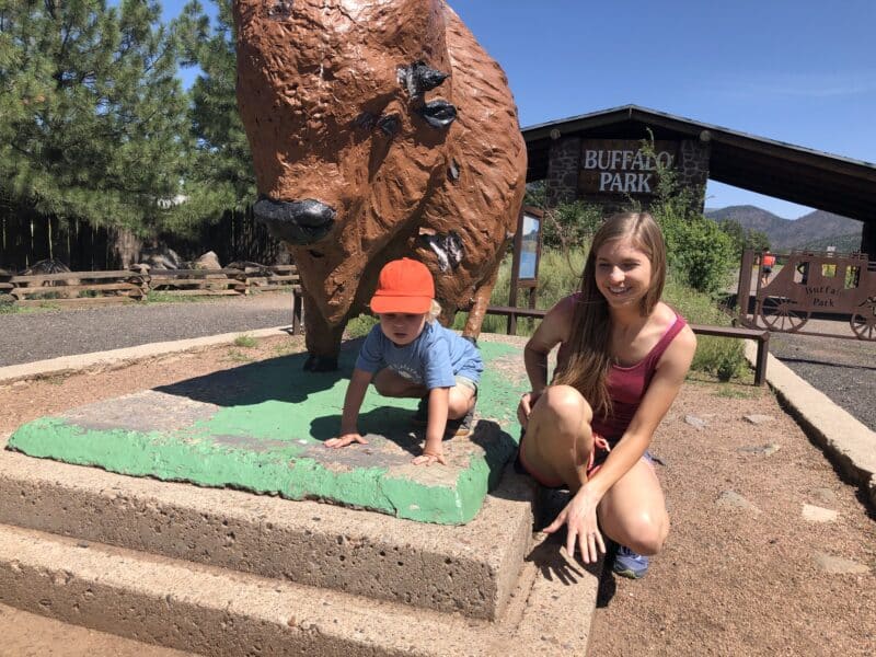 Buffalo Park Arizona | Beautiful Natural Sanctuary | Legacy of conservation