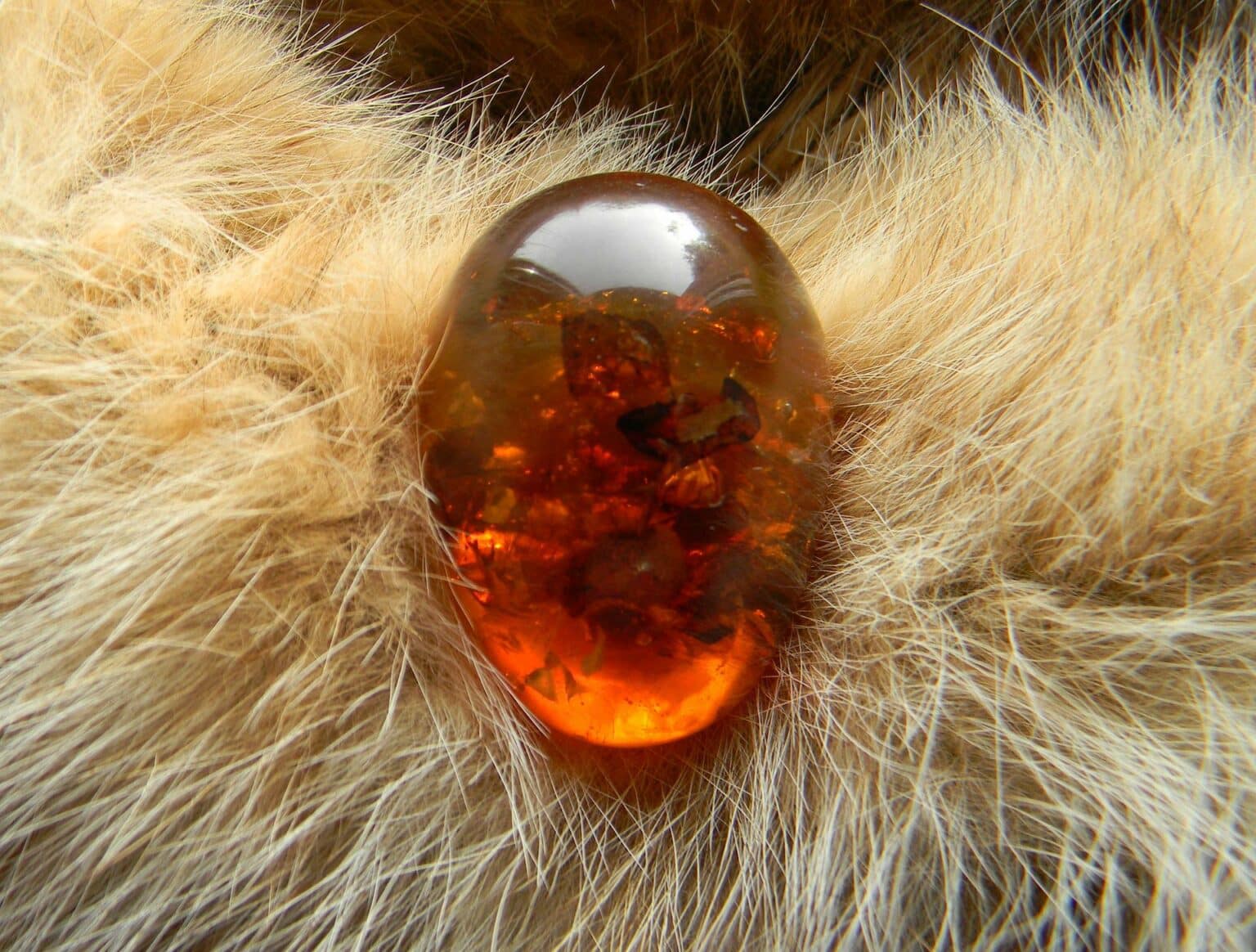 Amber Museum: Jurassic Park's Real-Life Inspiration