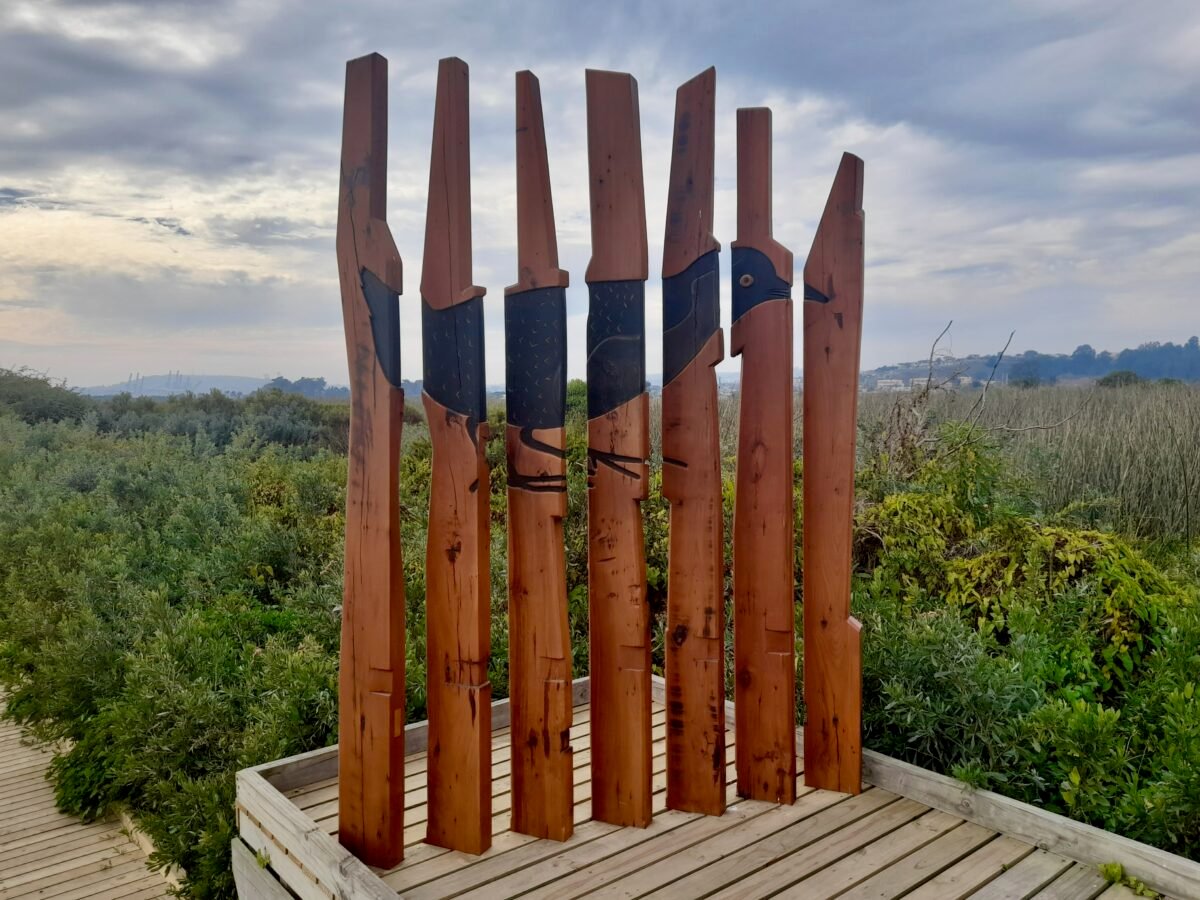 Valparaiso Coast: Biodiversity & Birdwatching | World Footprints